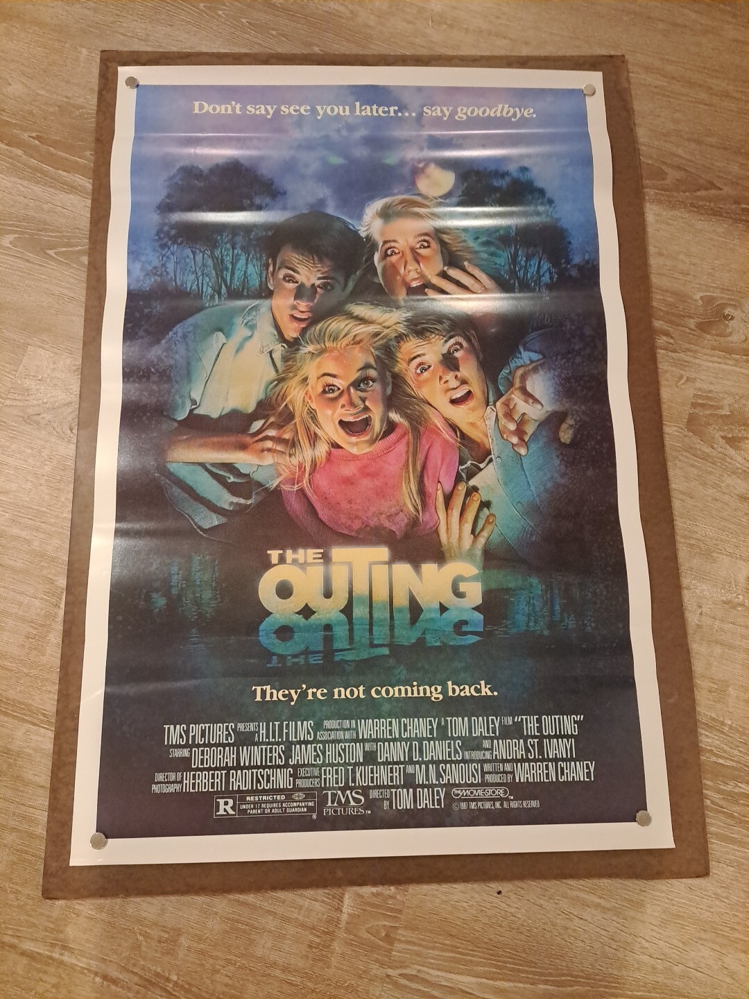 THE OUTING Deborah Winters ORIGINAL 1987 1 SHEET MOVIE POSTER 27 x 41 ...