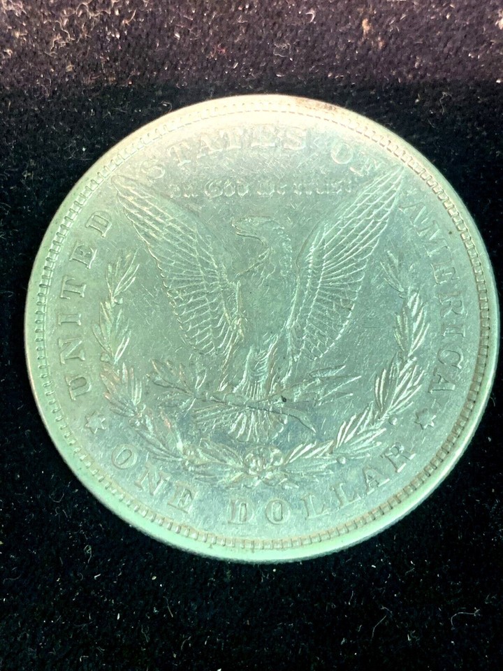 1878 8 TF VAM 9 First Morgan Variety Struck Morgan Silver Dollar-Fey ...