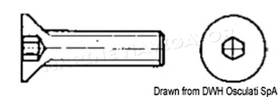 OSCULATI Countersunk socket screw 3x20 AISI 316 316.7991/3X20 | eBay