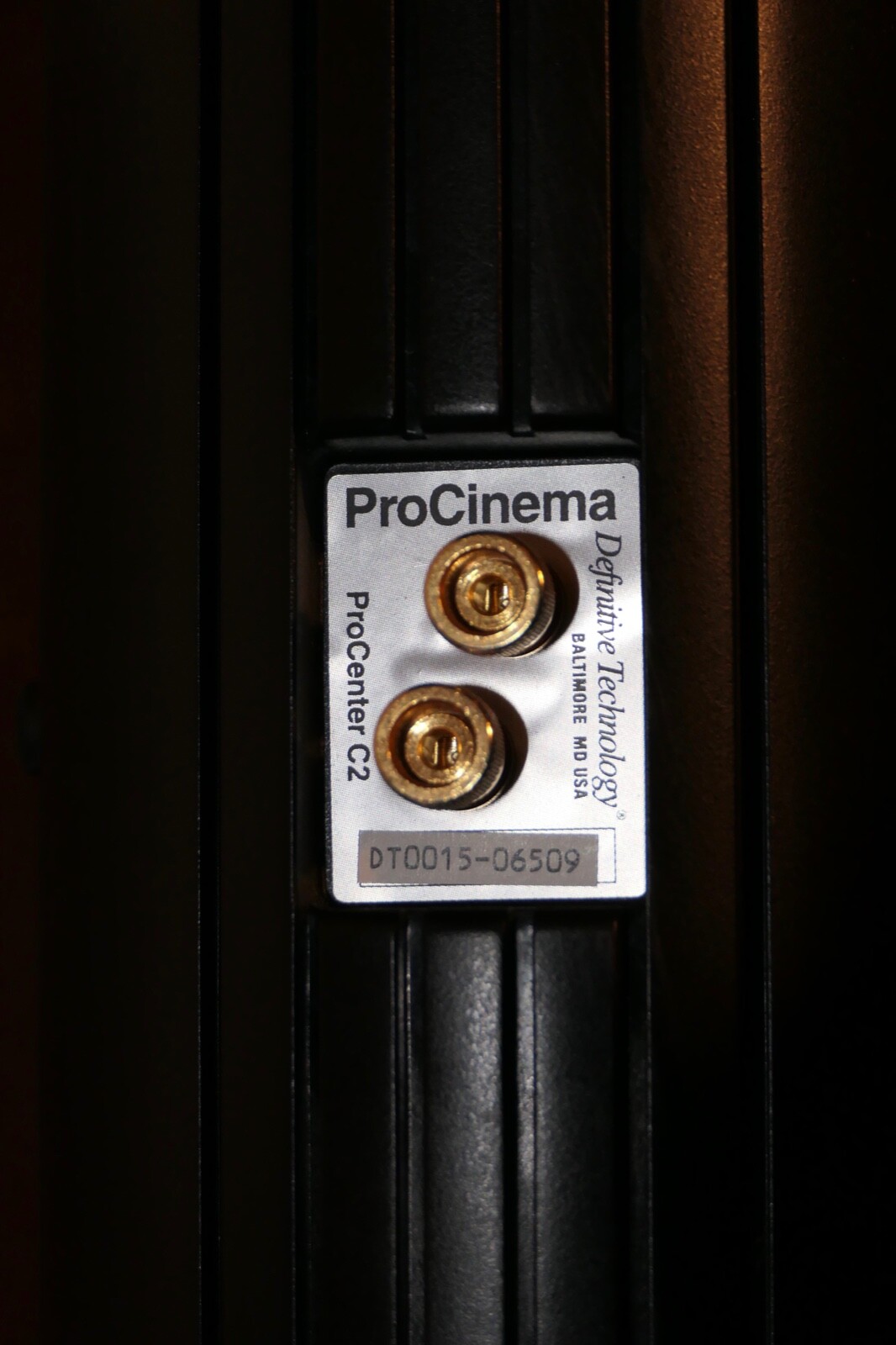 DEFINITIVE TECHNOLOGY PROCINEMA PROCENTER C2 CENTER CHANNEL SPEAKER | eBay