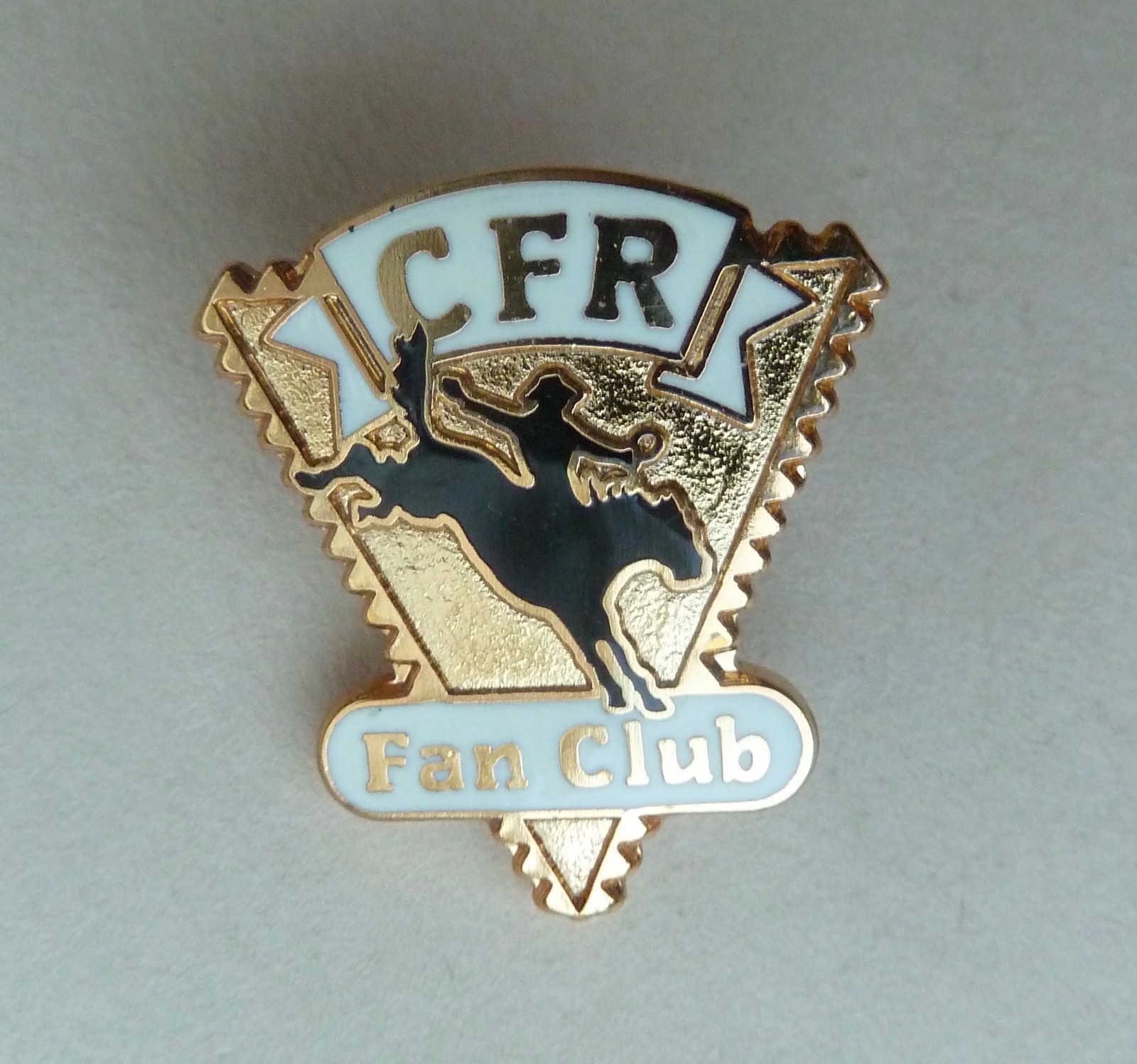 CFR Fan Club Canadian Finals Rodeo Souvenir PIN | eBay