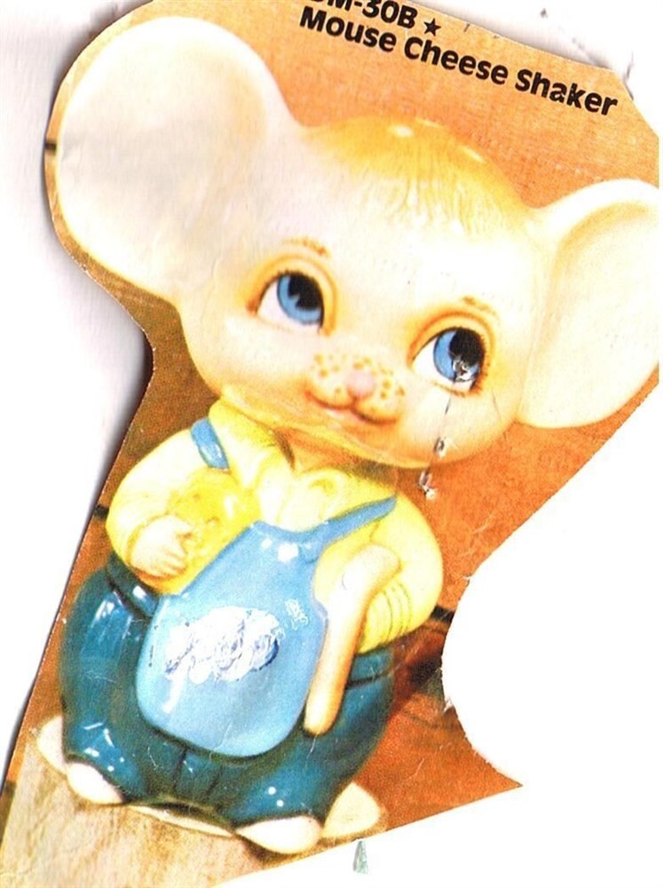 Ceramic Mold Molds MOUSE CHEESE SHAKER Duncan 30b | eBay