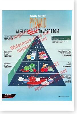 Department Of Defense Billboard Food Pyramid Health Diet Poster | eBay
