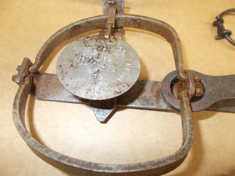 5 Vintage No.1 Single Long Spring traps, Good Traps , for Cheap! | eBay