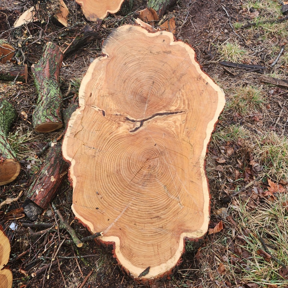 live edge wood slab round | eBay