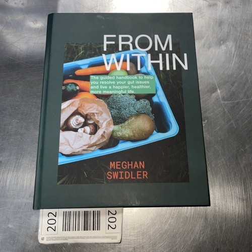 From Within By Meghan Swidler Hardcover | eBay