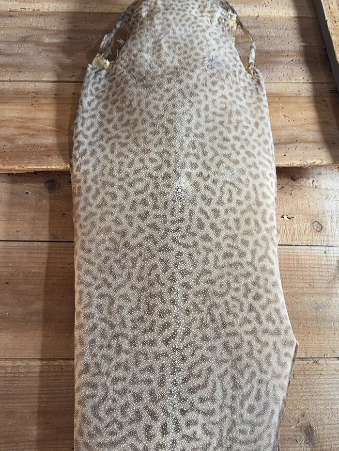 Unpolished Stingray Shagreen Fish Skin Leather Soft Hide Raw skinned ...