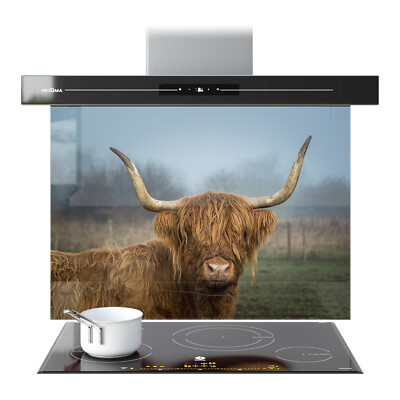 Kitchen Glass Splashback Toughened Tile ANY SIZE Highland Cow Bull Farm ...
