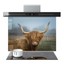 Kitchen Glass Splashback Toughened Tile ANY SIZE Highland Cow Bull Farm ...