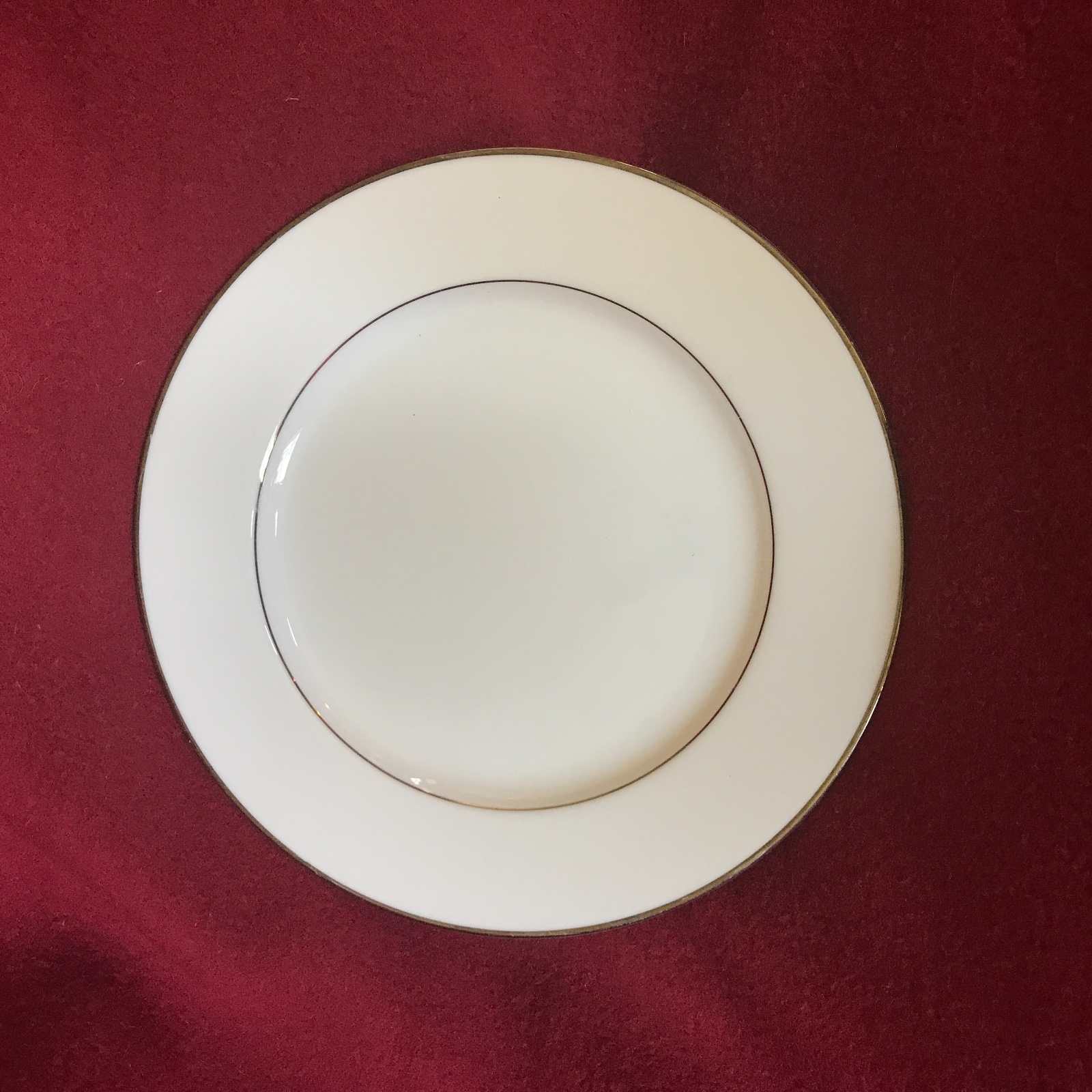 Gorham Hallmark Platinum Salad and Dinner Plates, White with Platinum ...