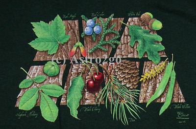 TREES 2--Oak Maple Cedar Cherry Pine Nature Ecology Forest 2 sided T ...