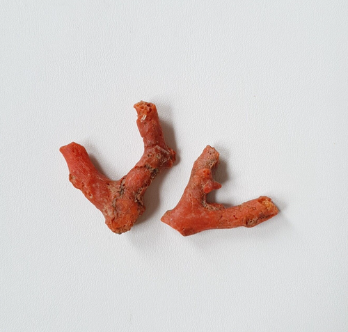Natural Italian Red Coral Stick Tree Branches Mediterranean Coral ...