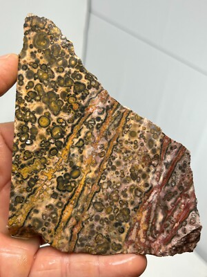 Orbicular Leopard Skin Jasper Rough Slab for Cabbing Carving Chakra ...