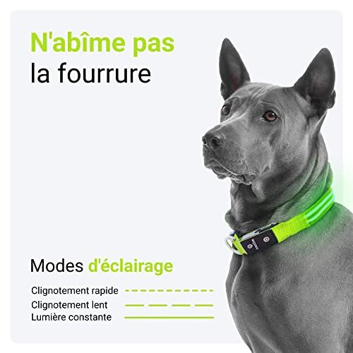 Tractive - Collier Chien LED Lumineux. Rechargeable par USB. Étanche ...