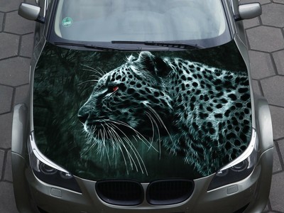 Leopard Car Hood Wrap Decal Vinyl Sticker Full Color Graphic Fit Any ...