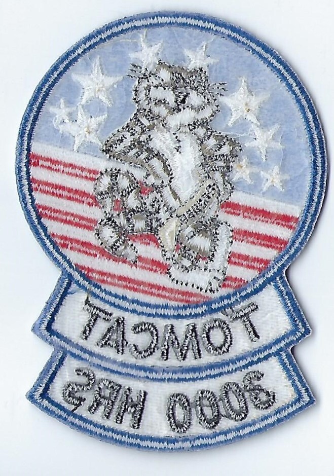 F-14 Tomcat 3000 Hours Patch (TOPGUN Maverick F-18 F-35 Miramar Oceana ...