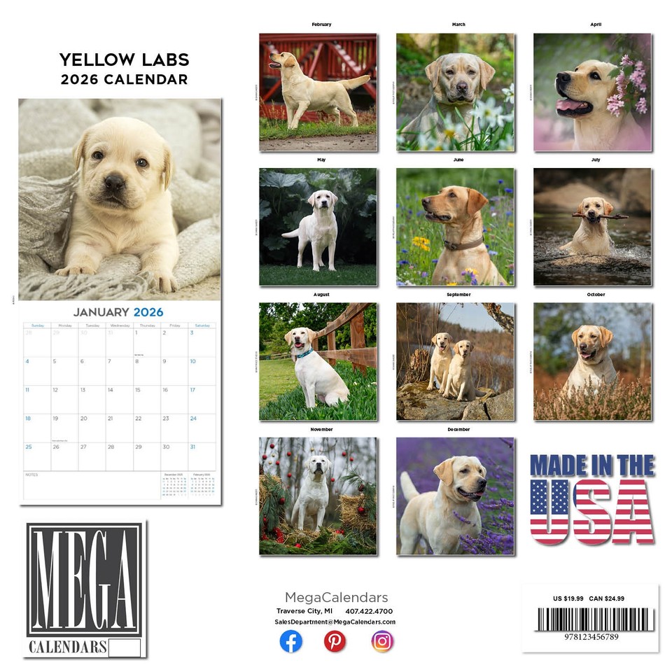 Yellow Labrador Calendar 2026 - Dog Breed Wall Calendar - Made in the ...