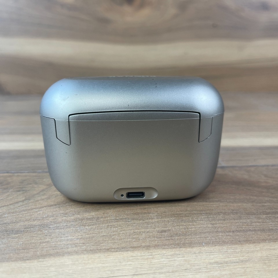 Phonak Charger Case Go Hearing Aids Charging Case Only Silver USB-C ...