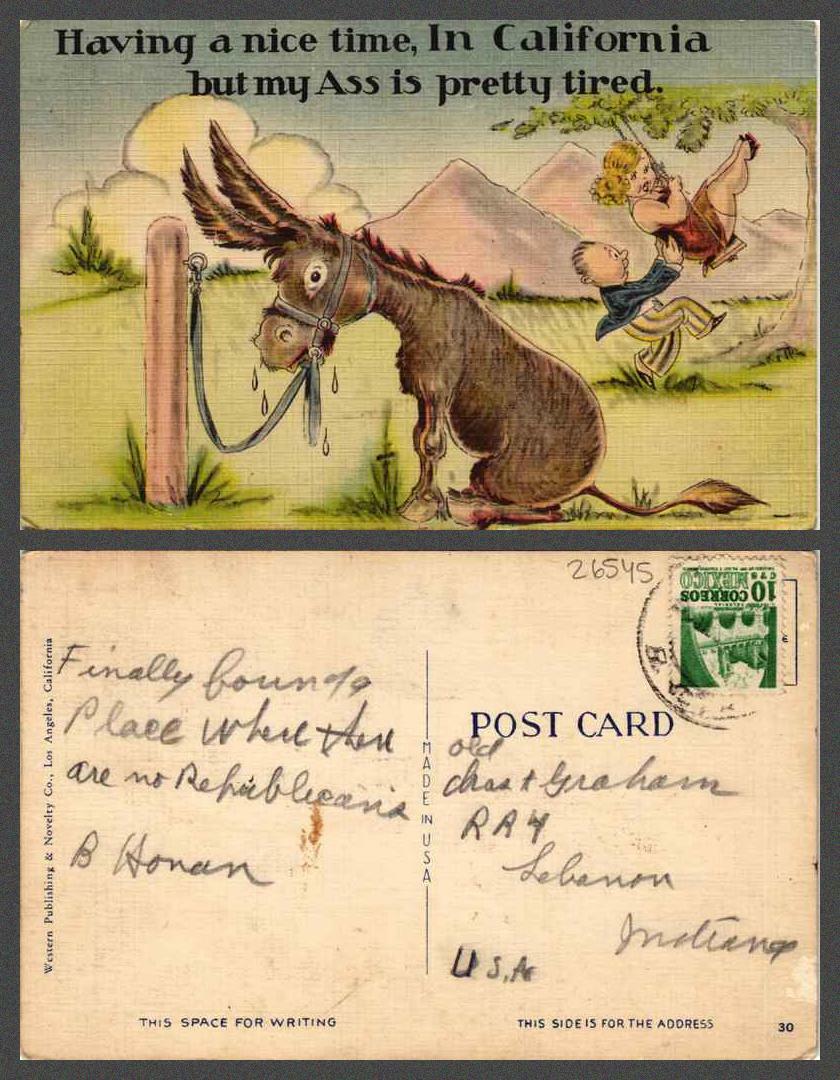 VINTAGE POSTCARD TOPIC: Donkeys | eBay
