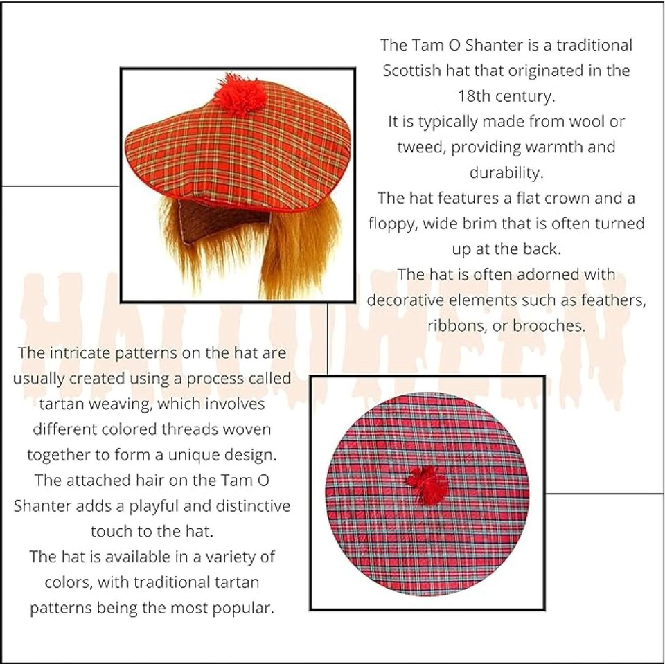 Mens SCOTTISH COSTUME Scotsman Tartan Hat Kilt Hair Burns Night Fancy ...