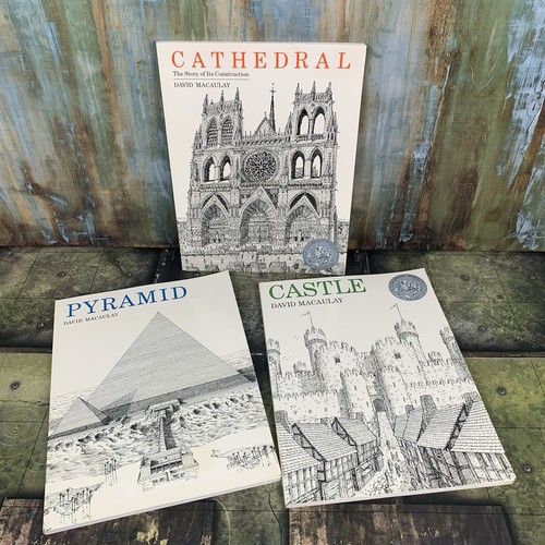 Vintage Cathedral Pyramid & Castle Lot of 3 Books by David Macaulay ...