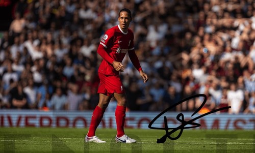 VIRGIL VAN DIJK (1165) Signed LIVERPOOL Printed Photo Autograph 6x4 ...