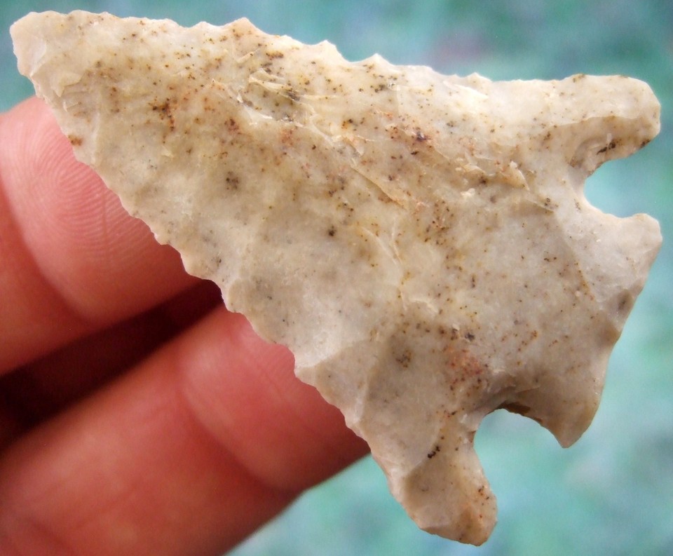 Super Fine Colorful G10 Georgia Coastal Flint Pine Tree Point wt COA ...