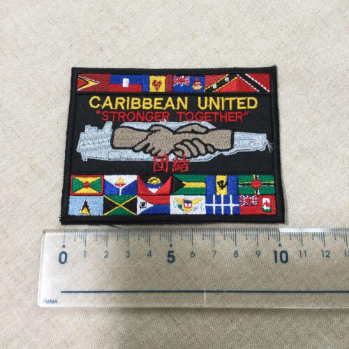 Discounted Authentic US Navy Caribbean Solidarity Patch | eBay