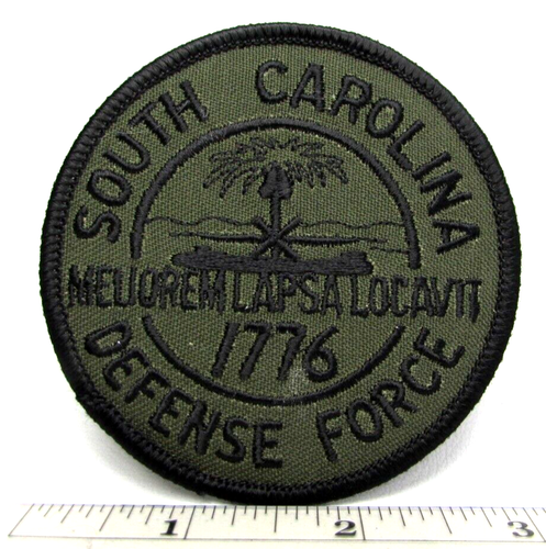Vintage South Carolina State Defense Force Guard Jacket Patch Military ...