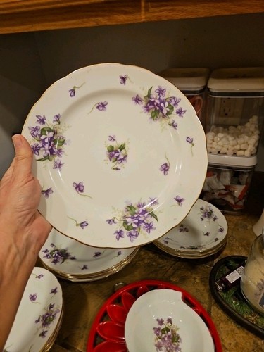 Rossetti Spring Violets Salad Plates ( 5) Made In Occupied Japan | eBay