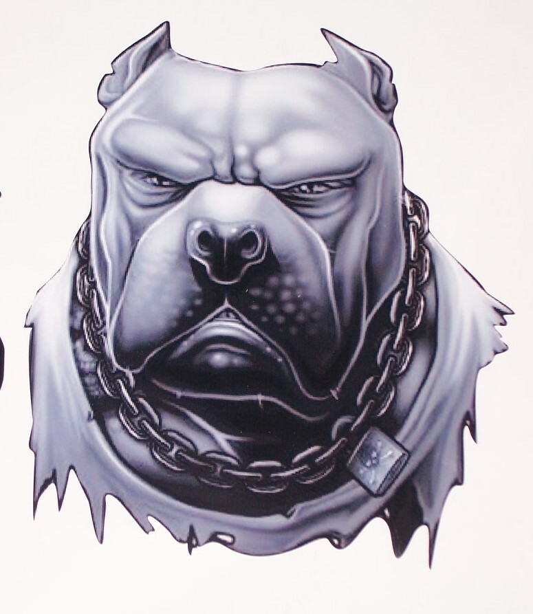 Mad Pitbull Drawing