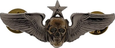 USAF Aviation Skull Senior Pilot Wing Badge Pin Military Air Force ...
