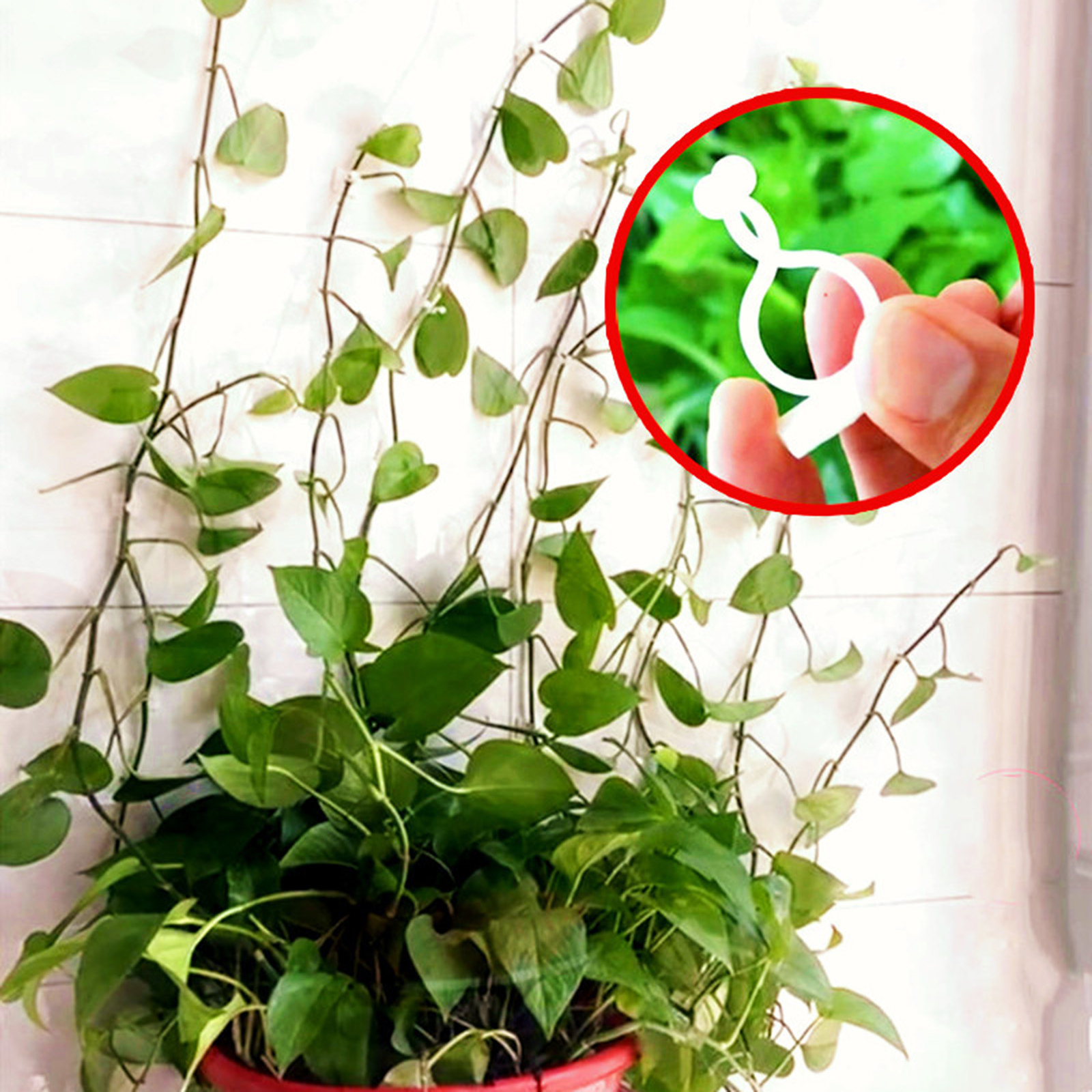 10pcs/set Plant Organize Clip Drill Free Invisible Garden Vegetable ...