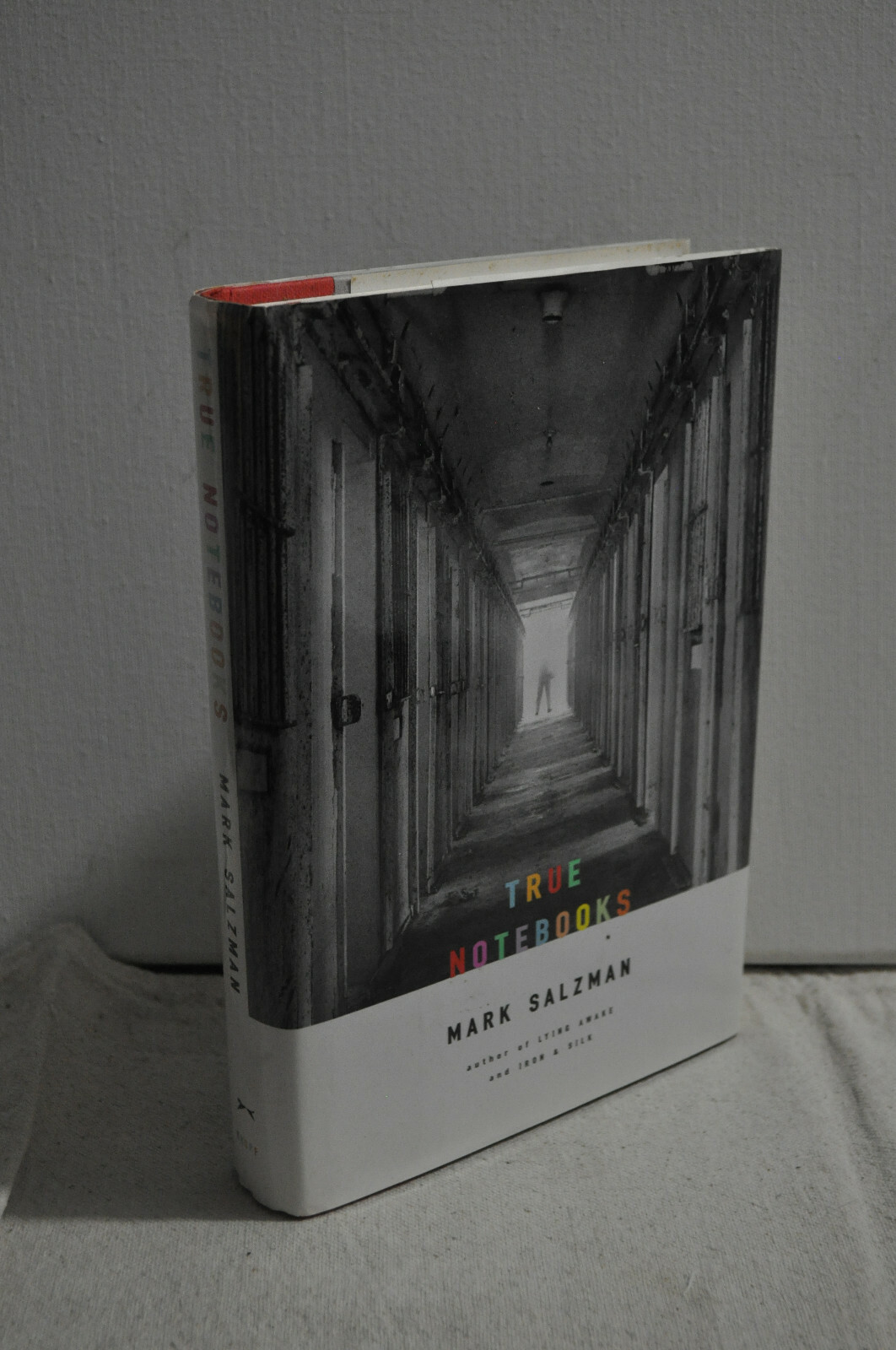 Mark Salzman ~ True Notebooks ~ 1st Edition / 1st Printing ~ Hardcover ...