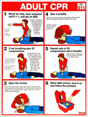 Adult CPR FIRST AID Instructional Wall Chart 18x24 POSTER (ARC-AHA ...