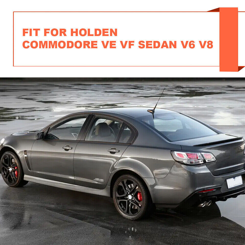 For Holden commodore VF VE SEDAN V6 V8 Outer Door Weather Window Rubber ...