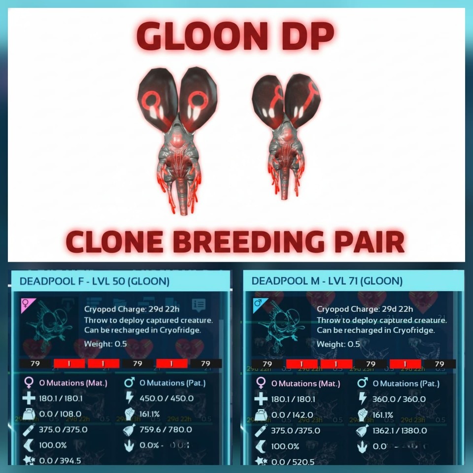 Gloon Clone Breeding Pair [Lost Colony] Ark ascended Pve Official PC/XBOX/PS5 | eBay