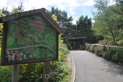 Photo 12x8 Monkey World : Zoo Map & Path Bovington Camp A map which ...