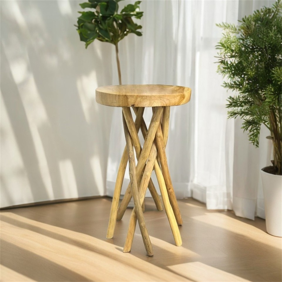 Teak Wood Branch End Table Rustic Side Table Small Accent Table Plant ...