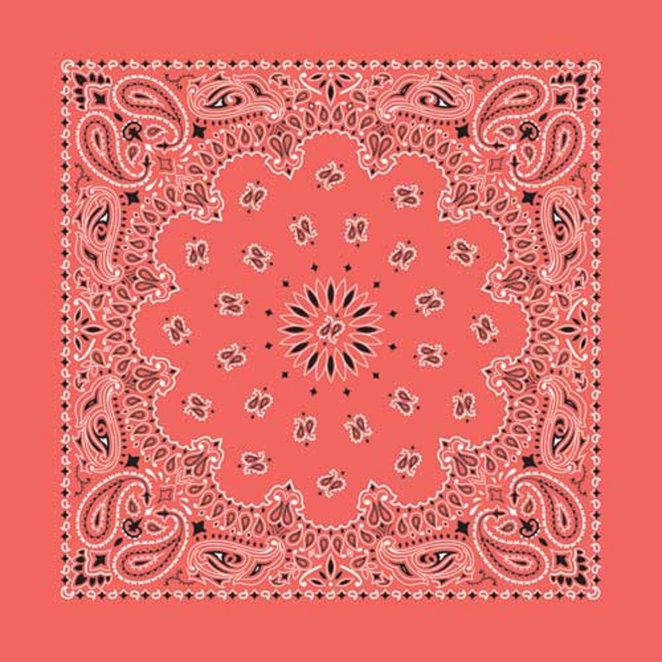 USA Made Paisley 22"Cotton BANDANA Bandanna Face Head Wrap Scarves Mask ...