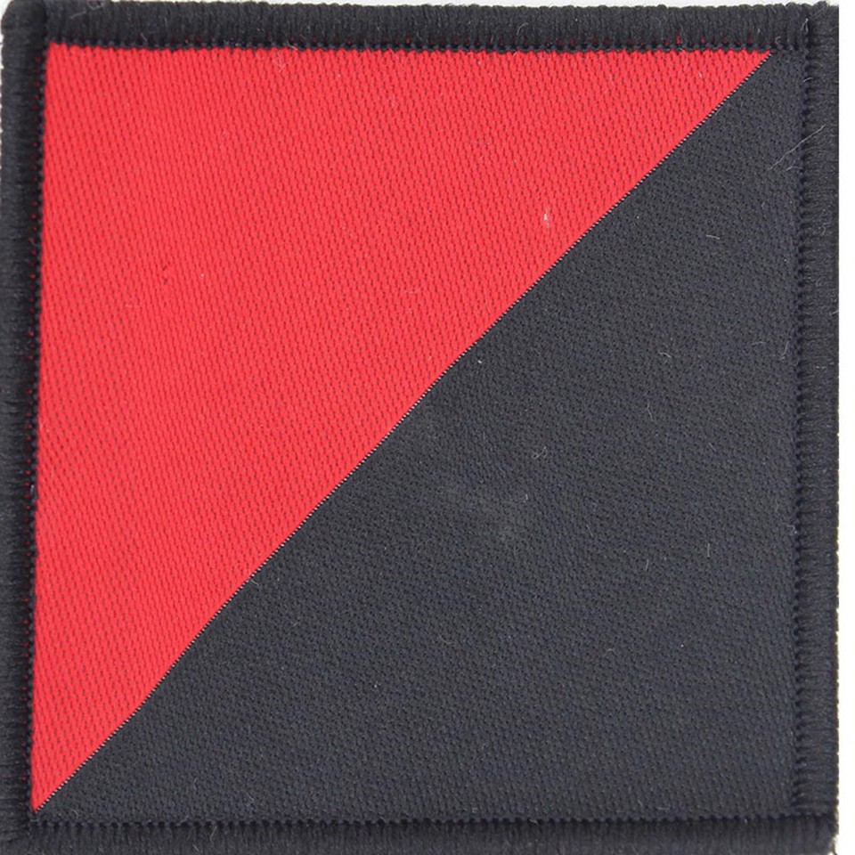 DZ FLASH 13 REGT RLC DZ Flash x3 13 AA DZ Flash | eBay UK