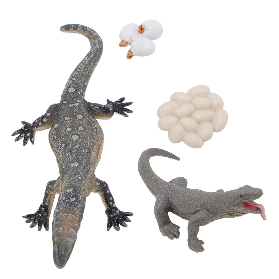 4x Lizard Life Cycle Toy PVC Realistic Educational Reptile Animal ...