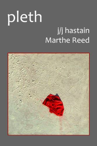 Pleth by Marthe Reed and J. hastain (2013, Trade Paperback) for sale ...