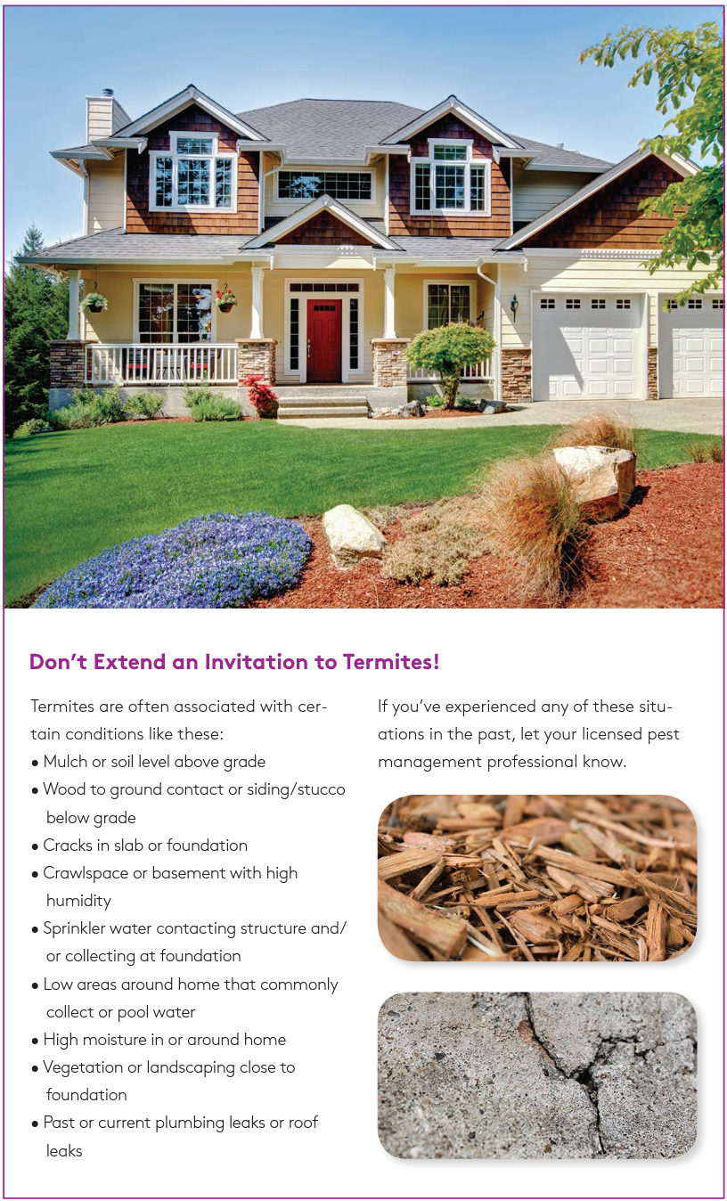 Taurus SC Insecticide (Ant & Termite Control) - 78 Oz. (Generic ...