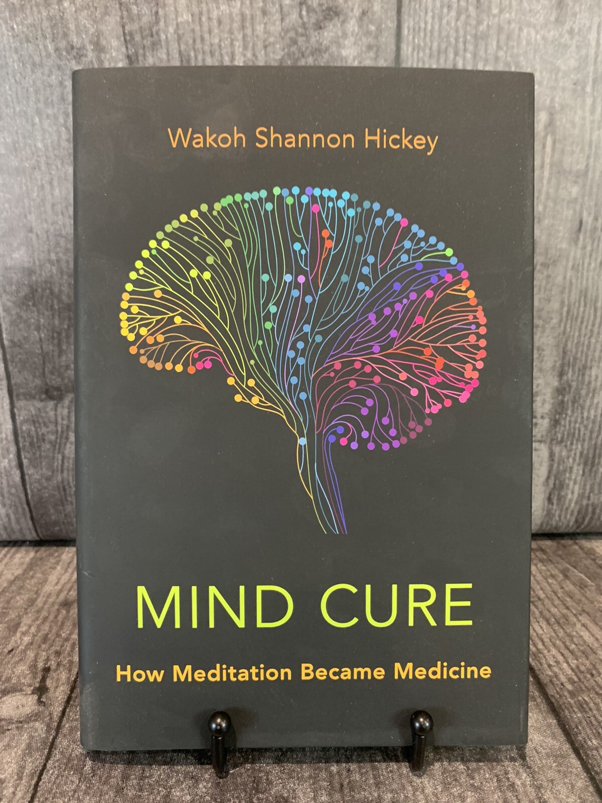 Mind Cure : How Meditation Became Medicine by Wakoh Shannon Hickey ...