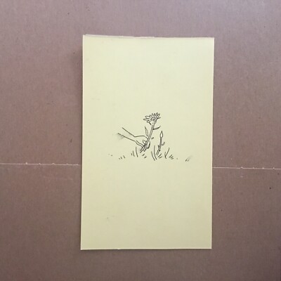(#16) Sketch for Gaza “flower” | eBay