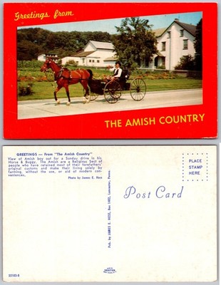 Greetings From The Amish Country Horse Buggy Red Border Postcard | eBay