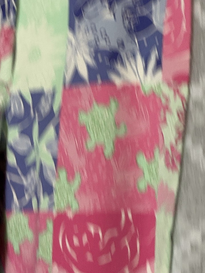 Vintage Lilly Pulitzer Capri Pants Womens 2 Stretch Turtle Bunny Frog ...