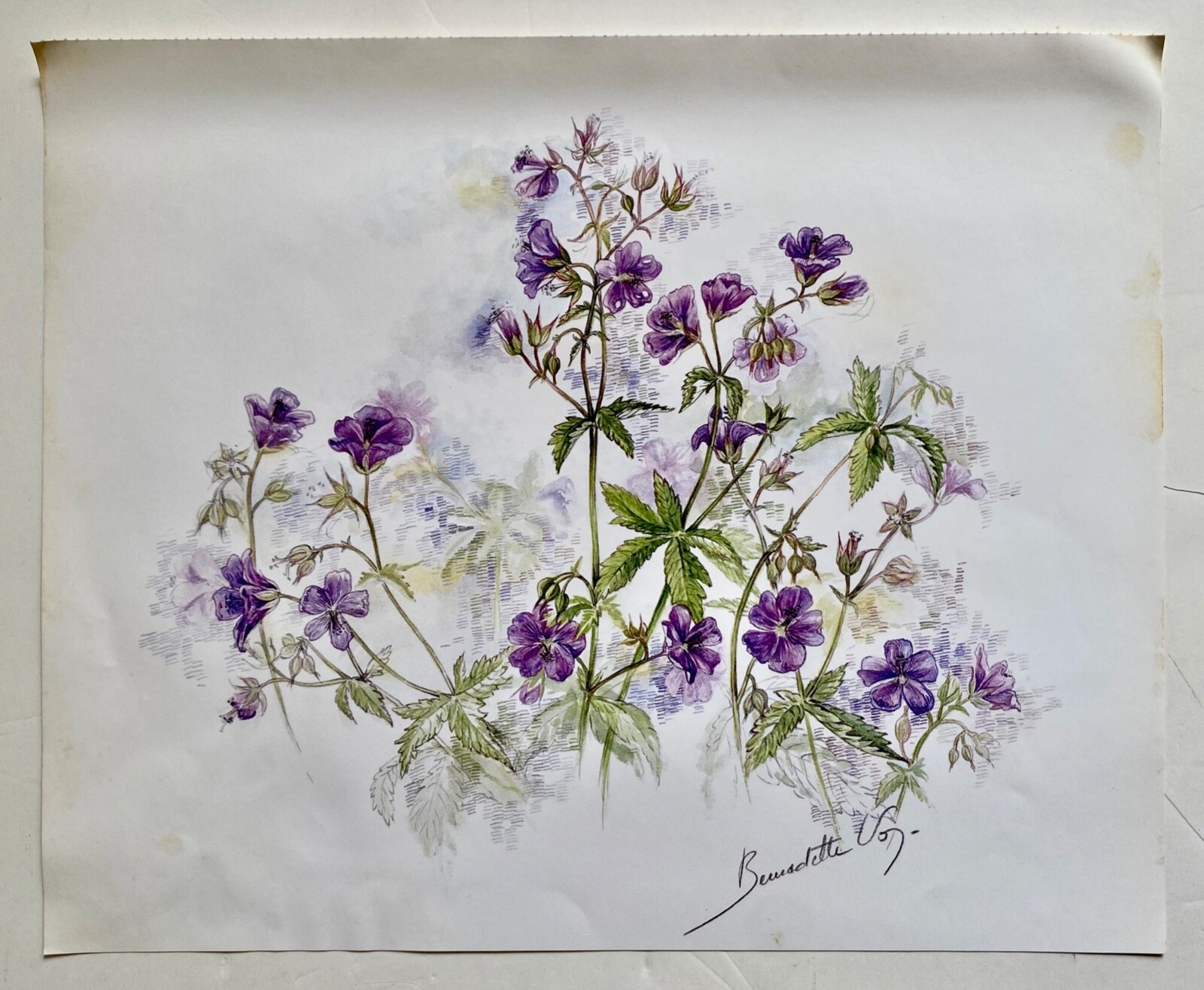 Vintage 1985 Art Print Violet Flowers Bernadette Voz Artist Flower Stem ...