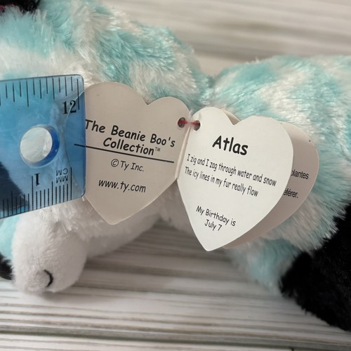 TY Beanie Boos ATLAS 6” Blue and White Chevron Fox Plush 2021 Preloved ...